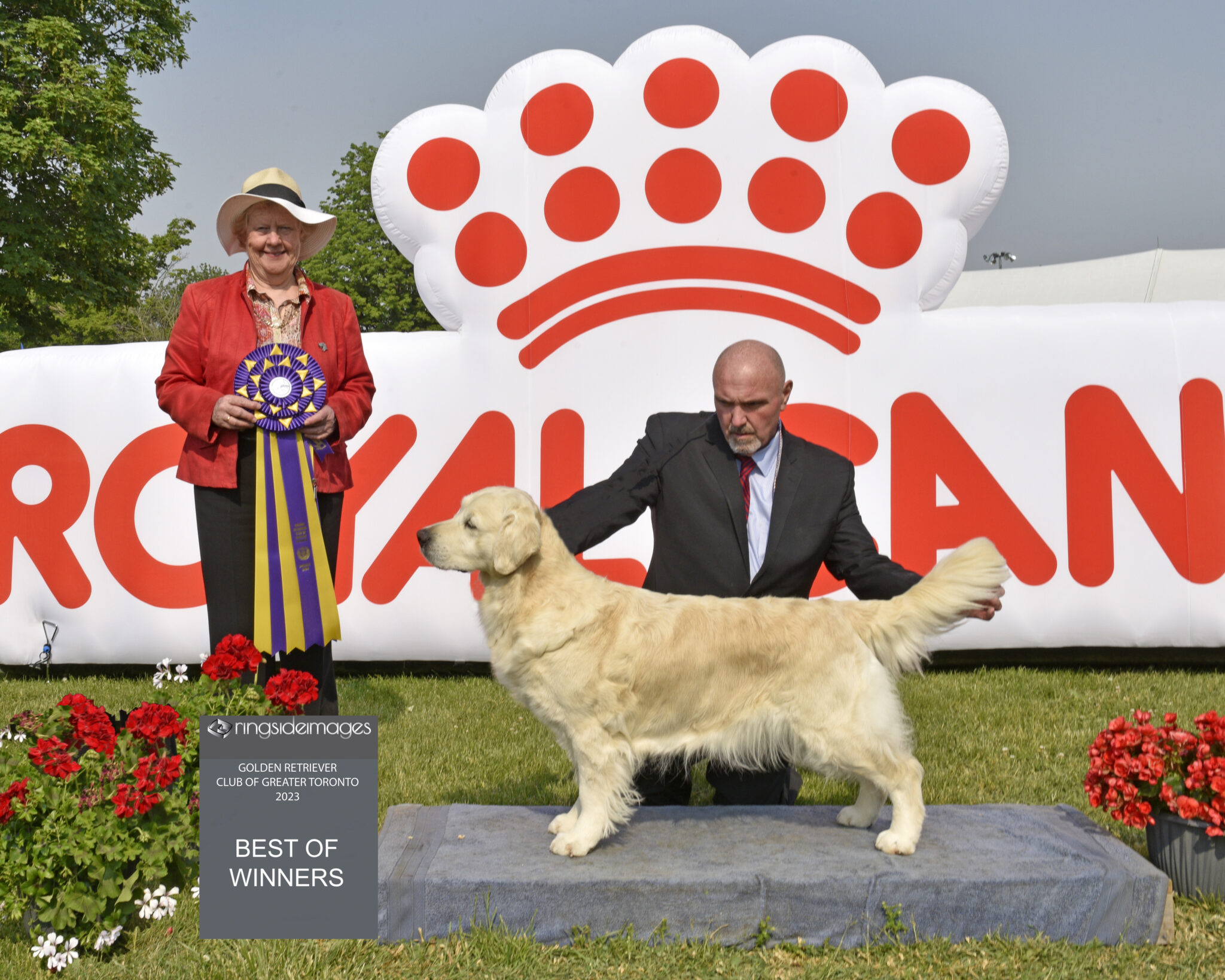 Ontario Golden Retriever Puppies - Holistically Raised Golden Retrievers