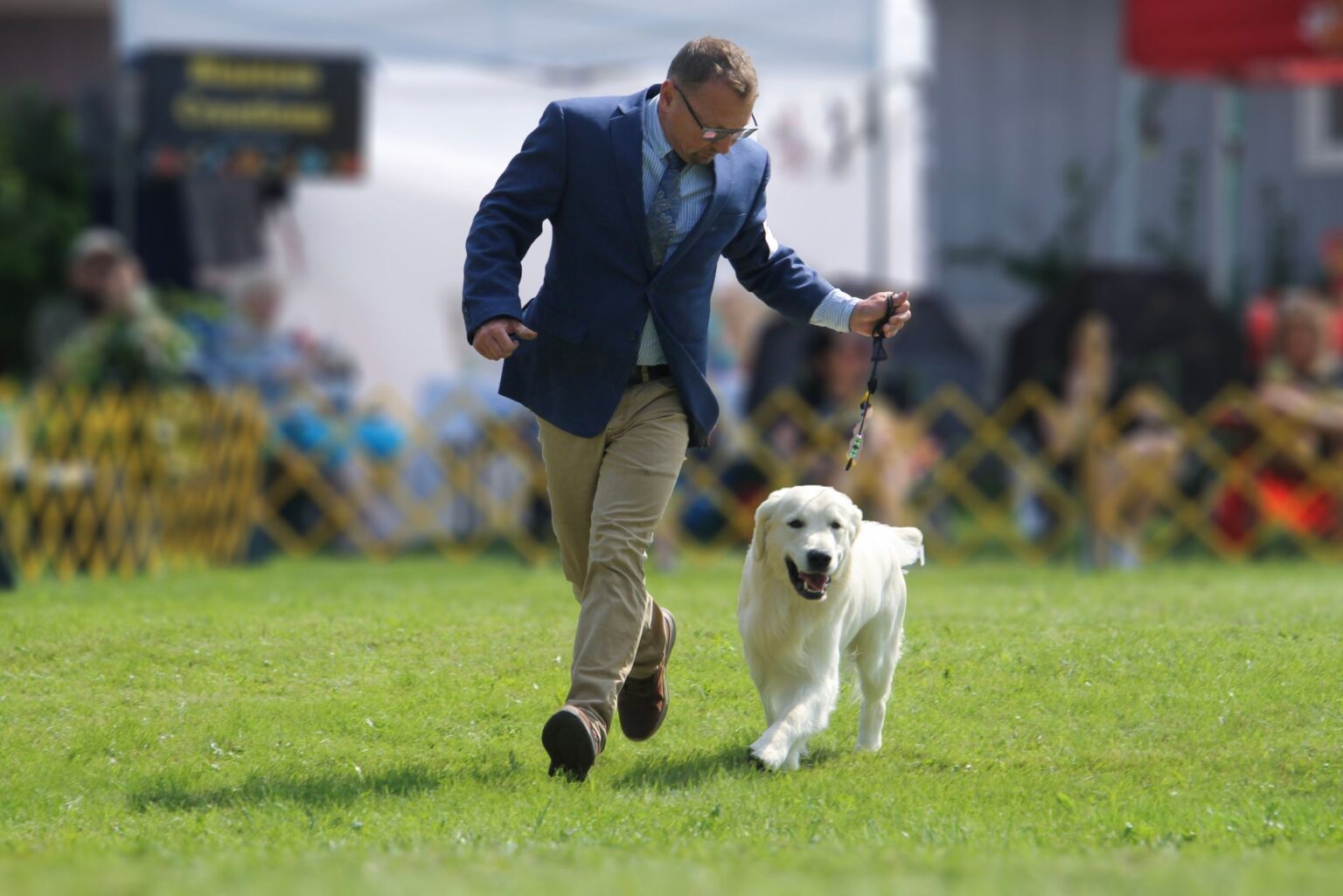 Ontario Golden Retriever Puppies - Holistically Raised Golden Retrievers