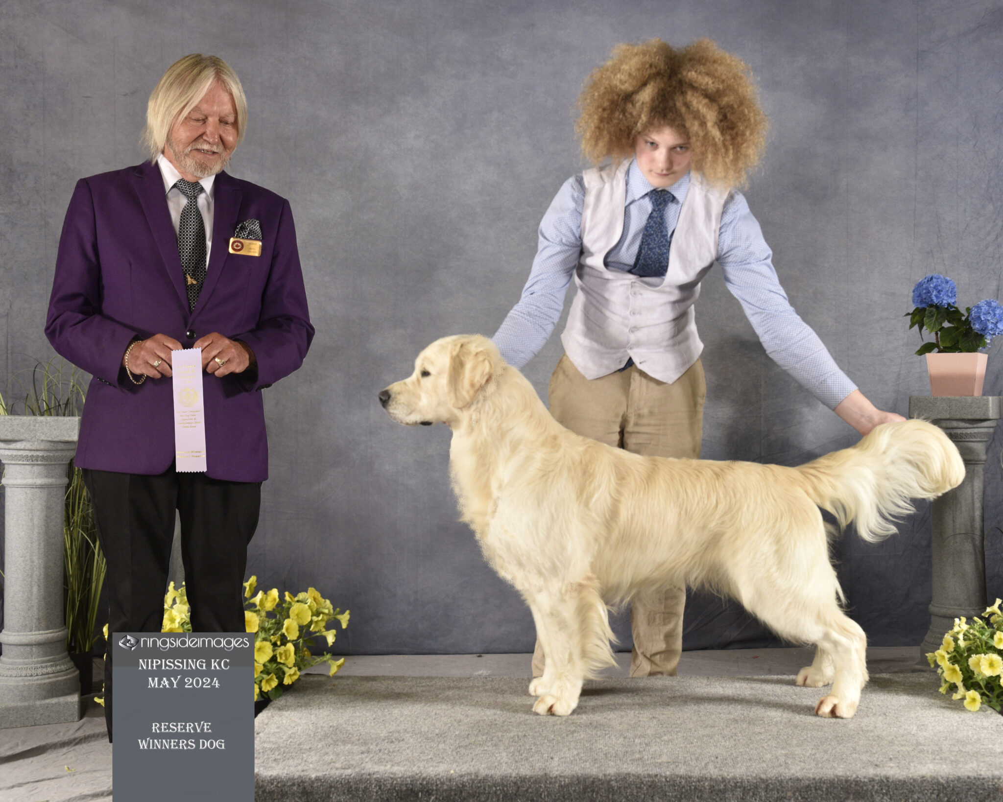 Ontario Golden Retriever Puppies - Holistically Raised Golden Retrievers