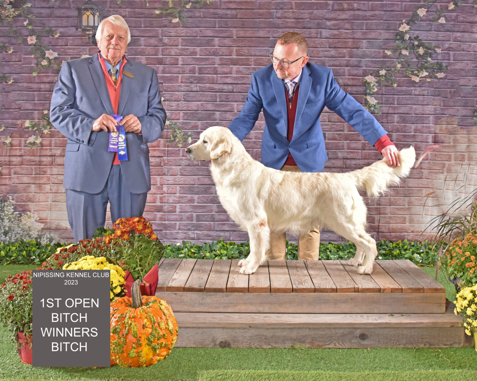 Ontario Golden Retriever Puppies - Holistically Raised Golden Retrievers